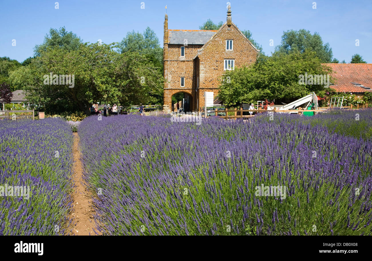 Heacham norfolk High Resolution Stock Photography and Images - Alamy