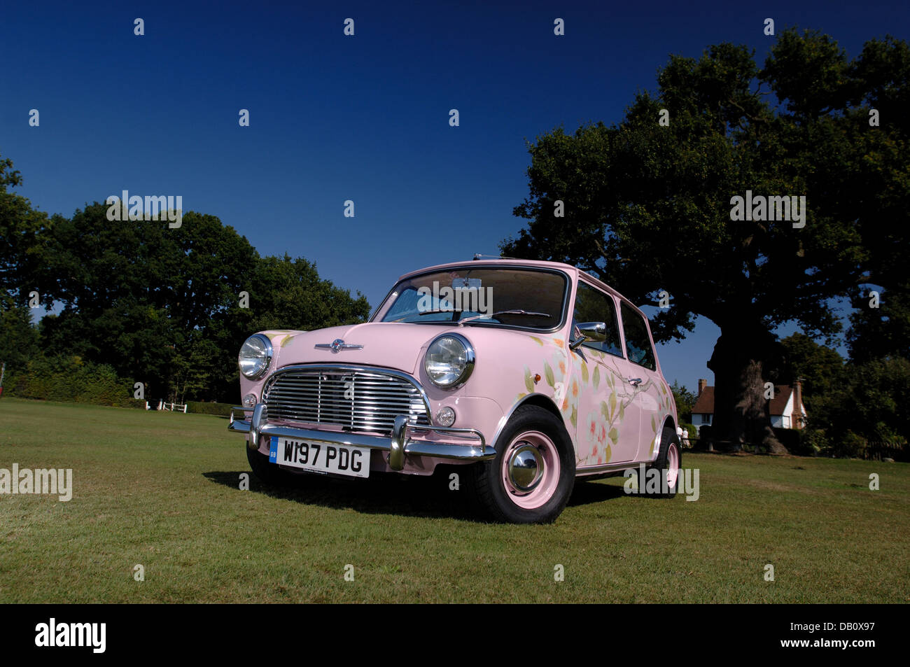 Pink Austin Mini Seven with floral design against a blue sky in a ...