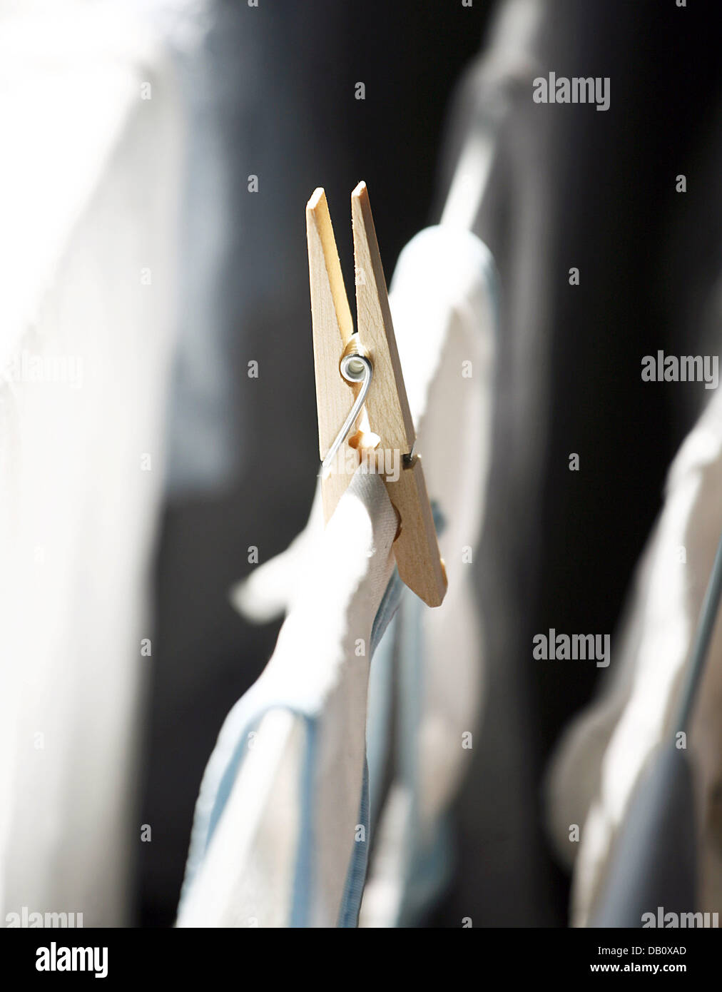 A wooden peg fixes a piece of clothing on a clothesline in Frankfurt ...