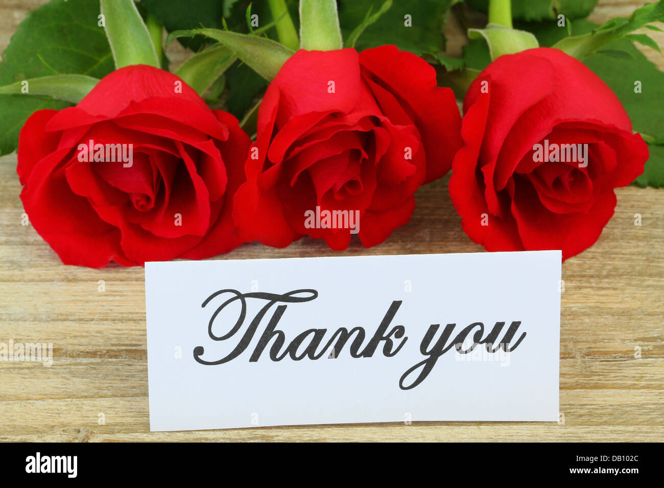 Thank you note and red roses Stock Photo - Alamy