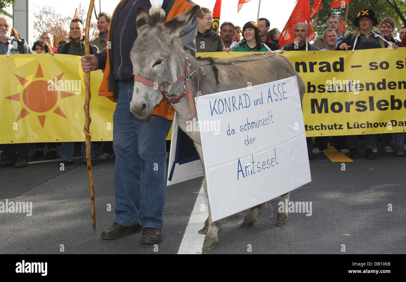A nuclear energy opponent is pictured with a donkey carrying a sign ...