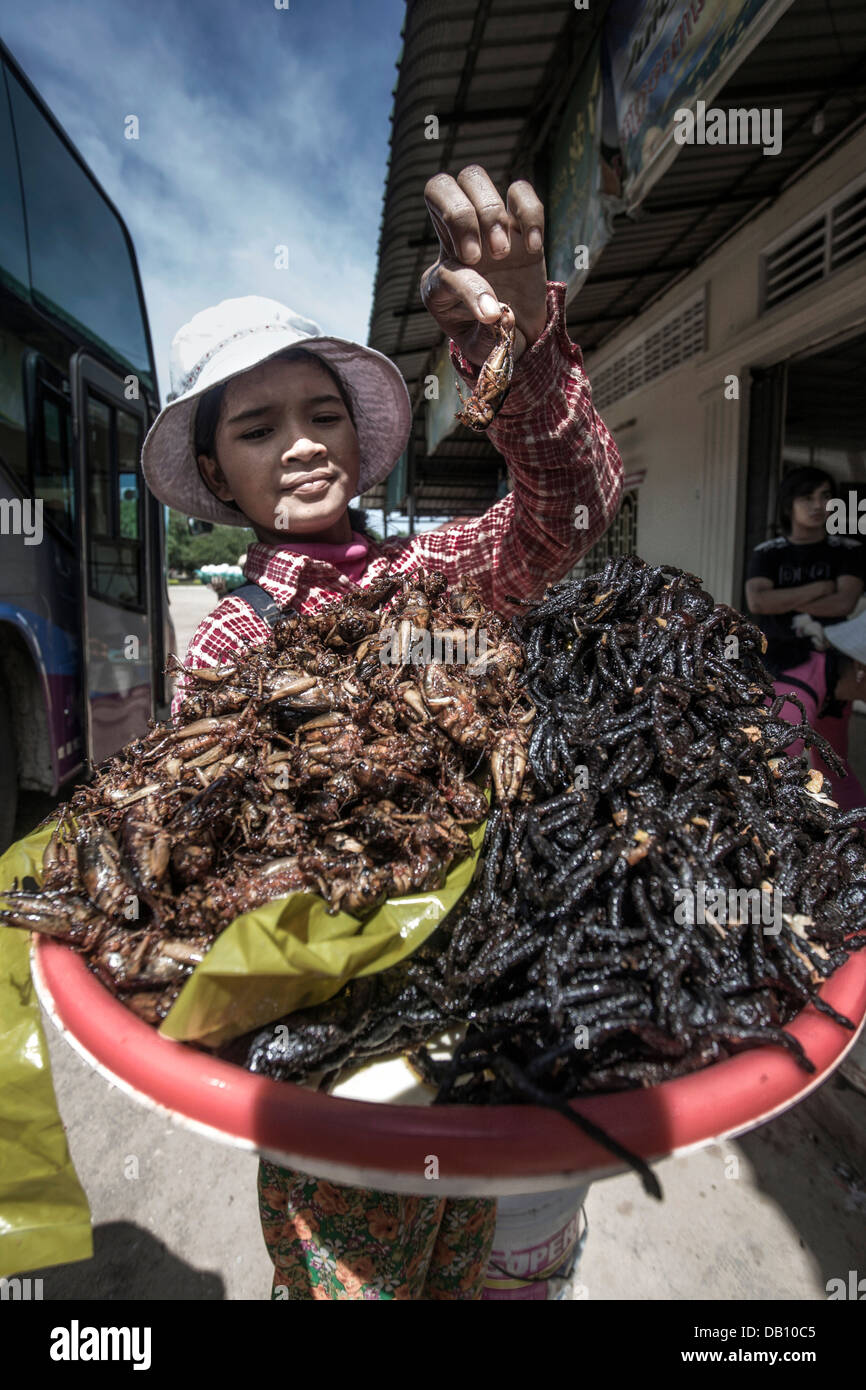 Edible insects hi-res stock photography and images - Alamy
