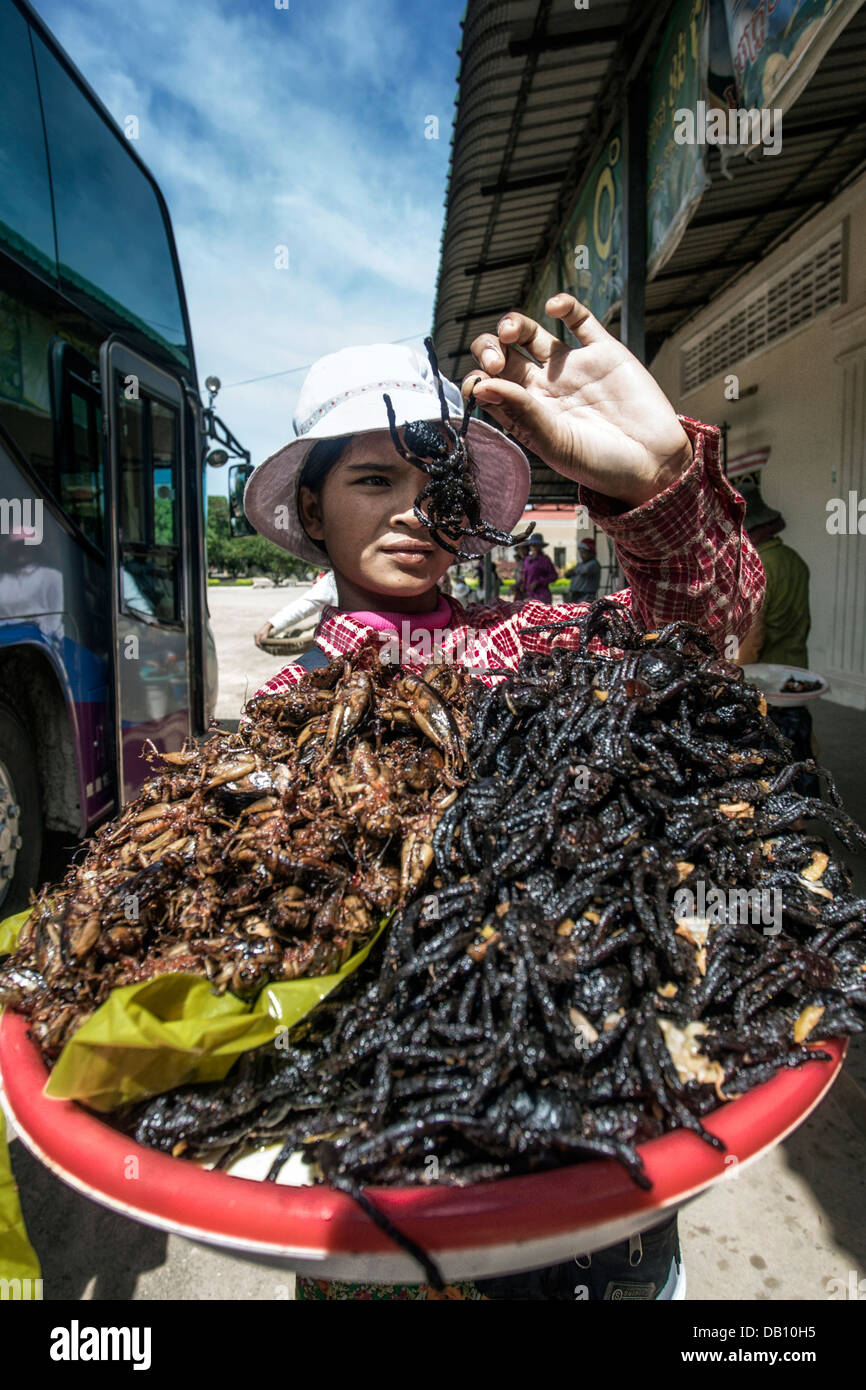 Asian spiders hi-res stock photography and images - Alamy