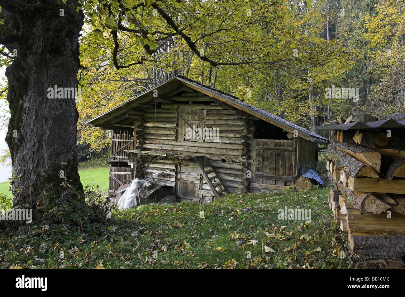 (dpa file) - The photo depicts an Alpine cottage in an autumnally ...