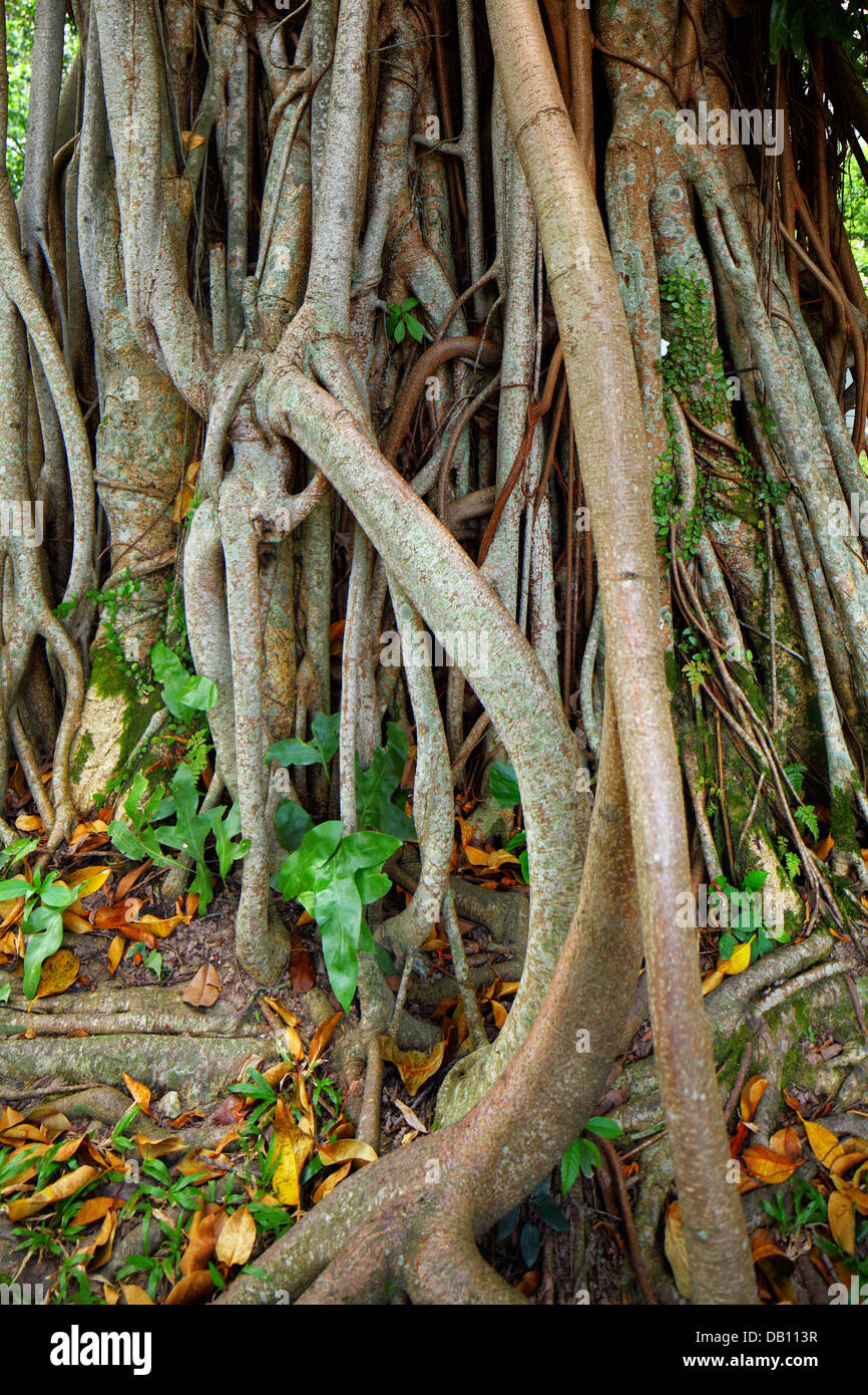 Below the design hi-res stock photography and images - Alamy