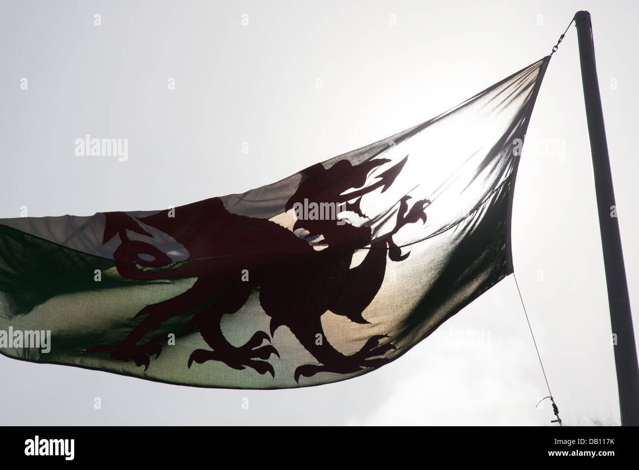 Welsh dragon flag hi-res stock photography and images - Alamy