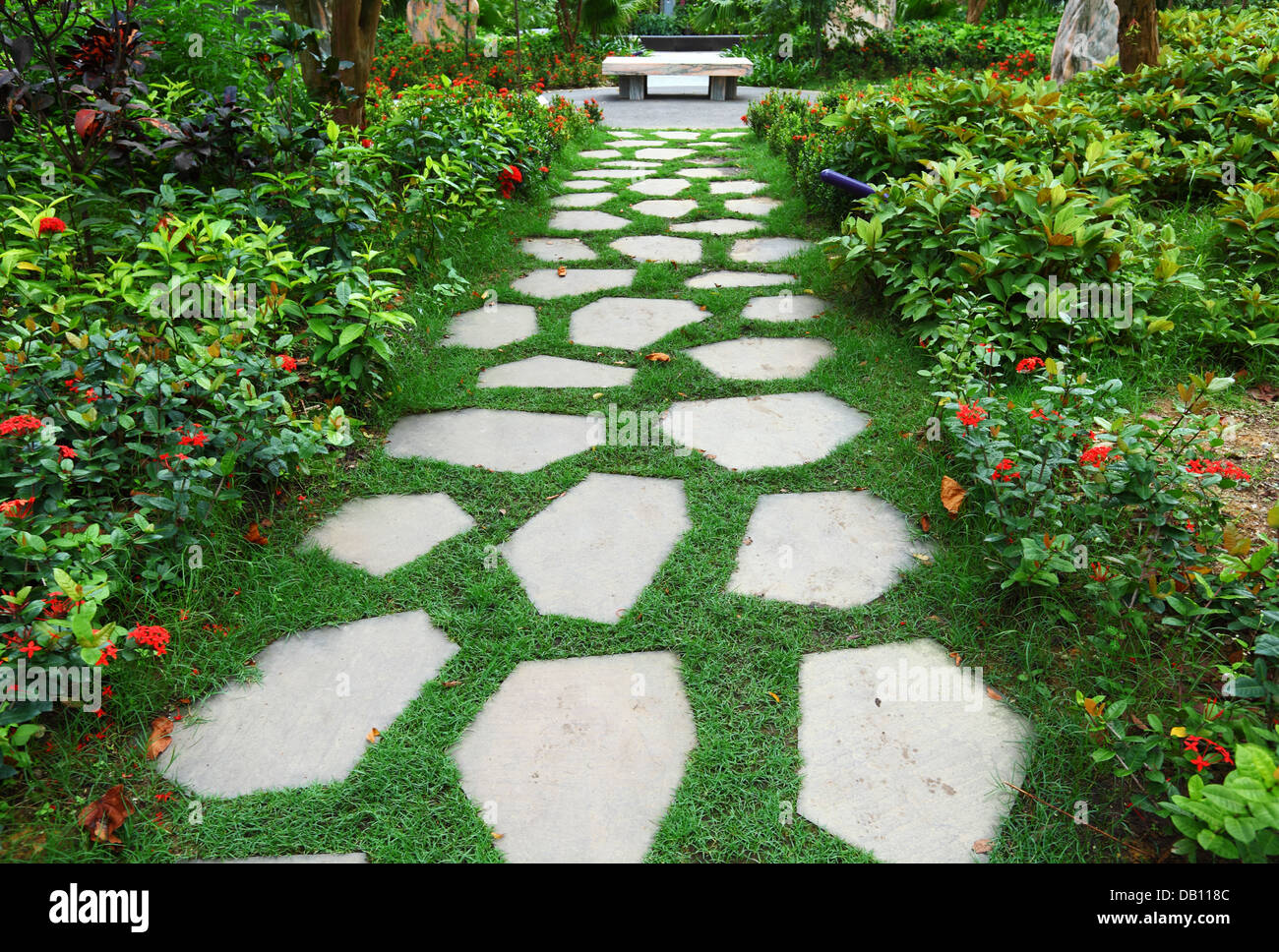 path in park Stock Photo - Alamy