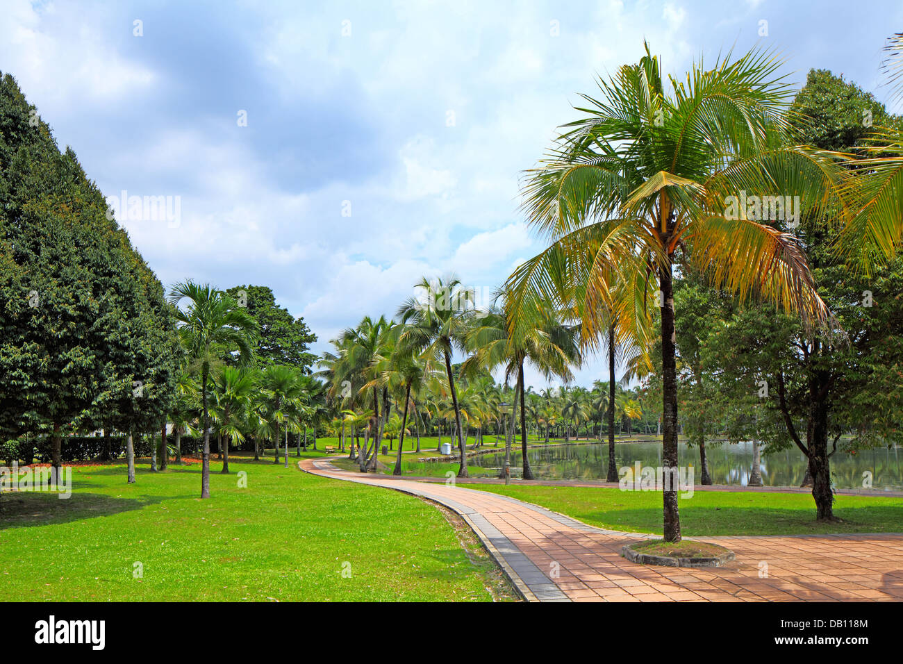 path in park Stock Photo - Alamy