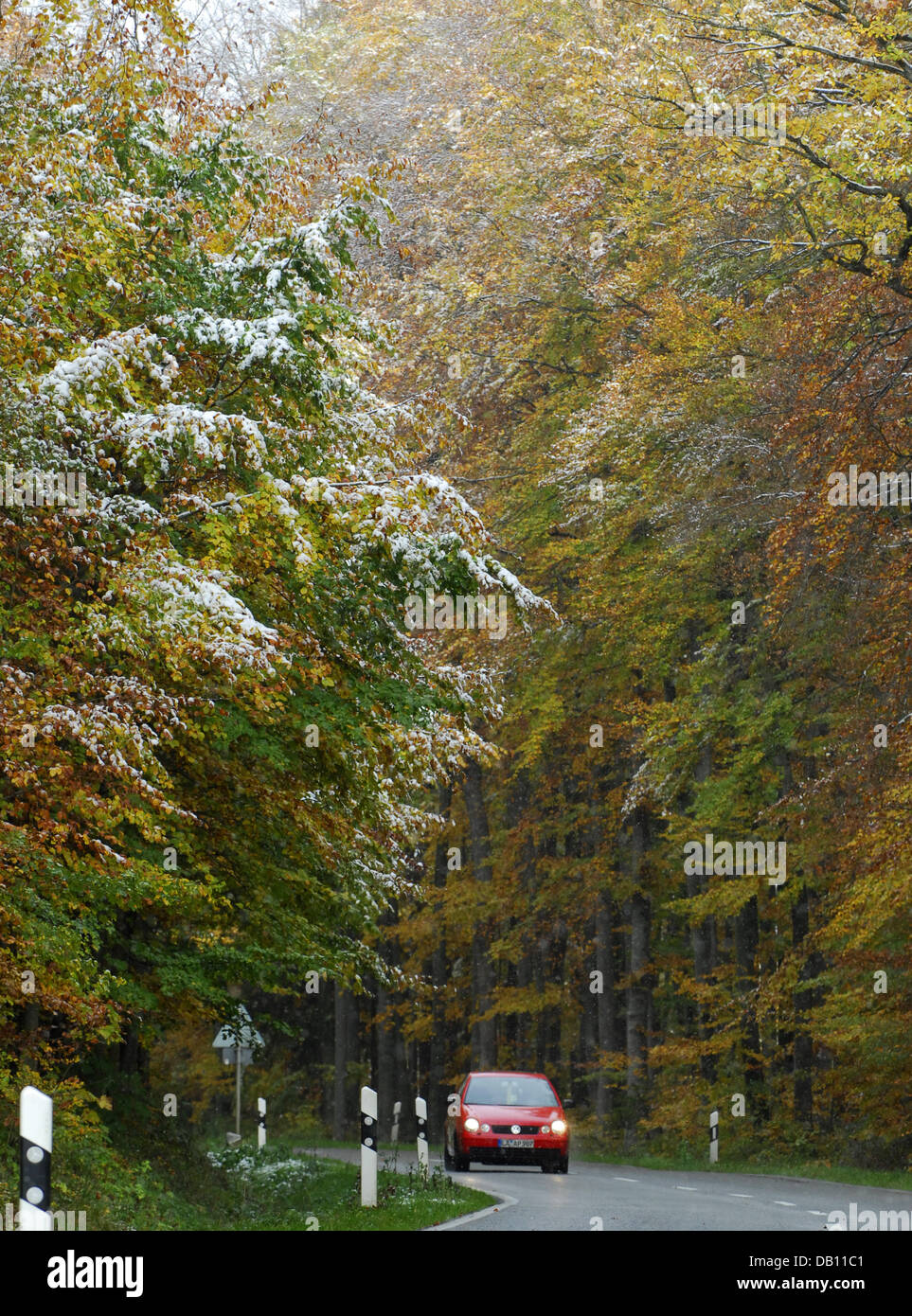 A car passes an autumn forest covered with snow near Scharenstetten ...