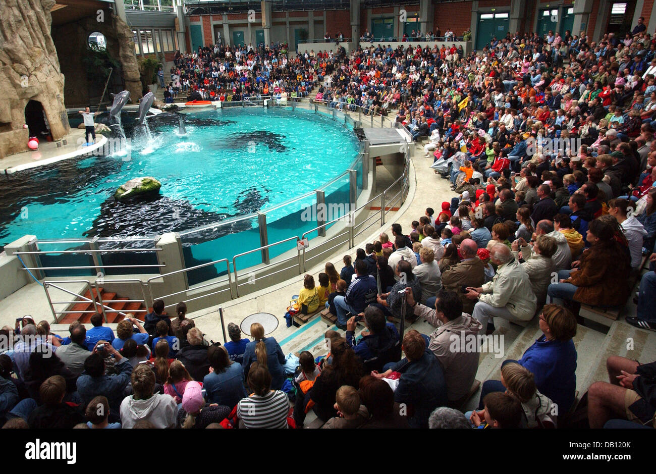 The audience follows a dolphin performance at the Dolphinarium of the ...