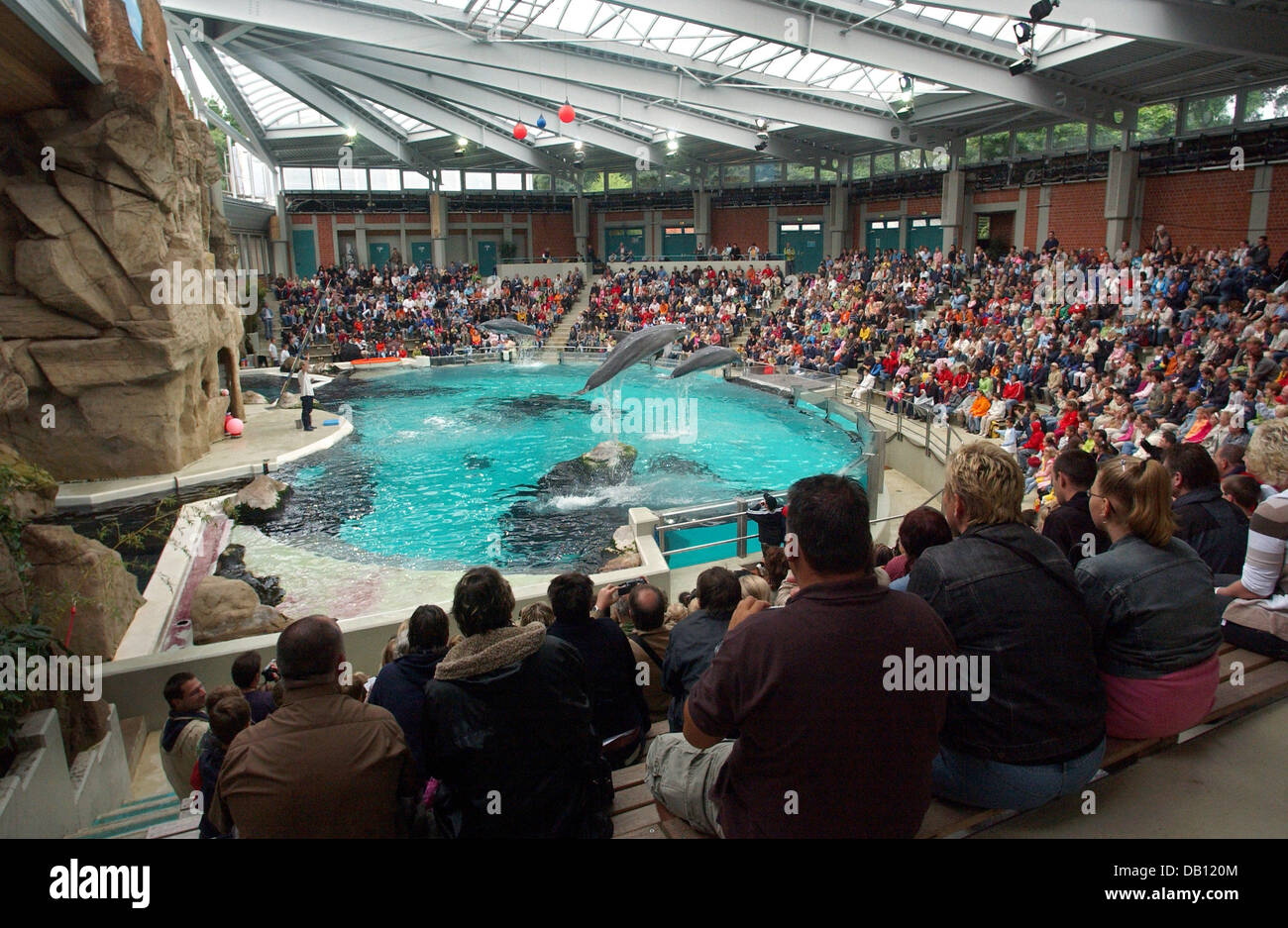 The audience follows a dolphin performance at the Dolphinarium of the ...