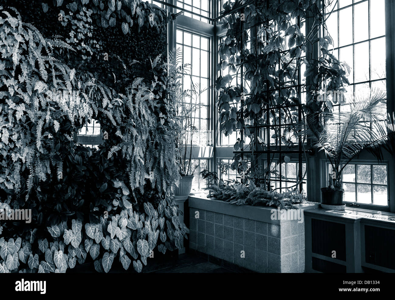 Green wall in the Howard Peters Rawlings Conservatory, in Druid Hill ...