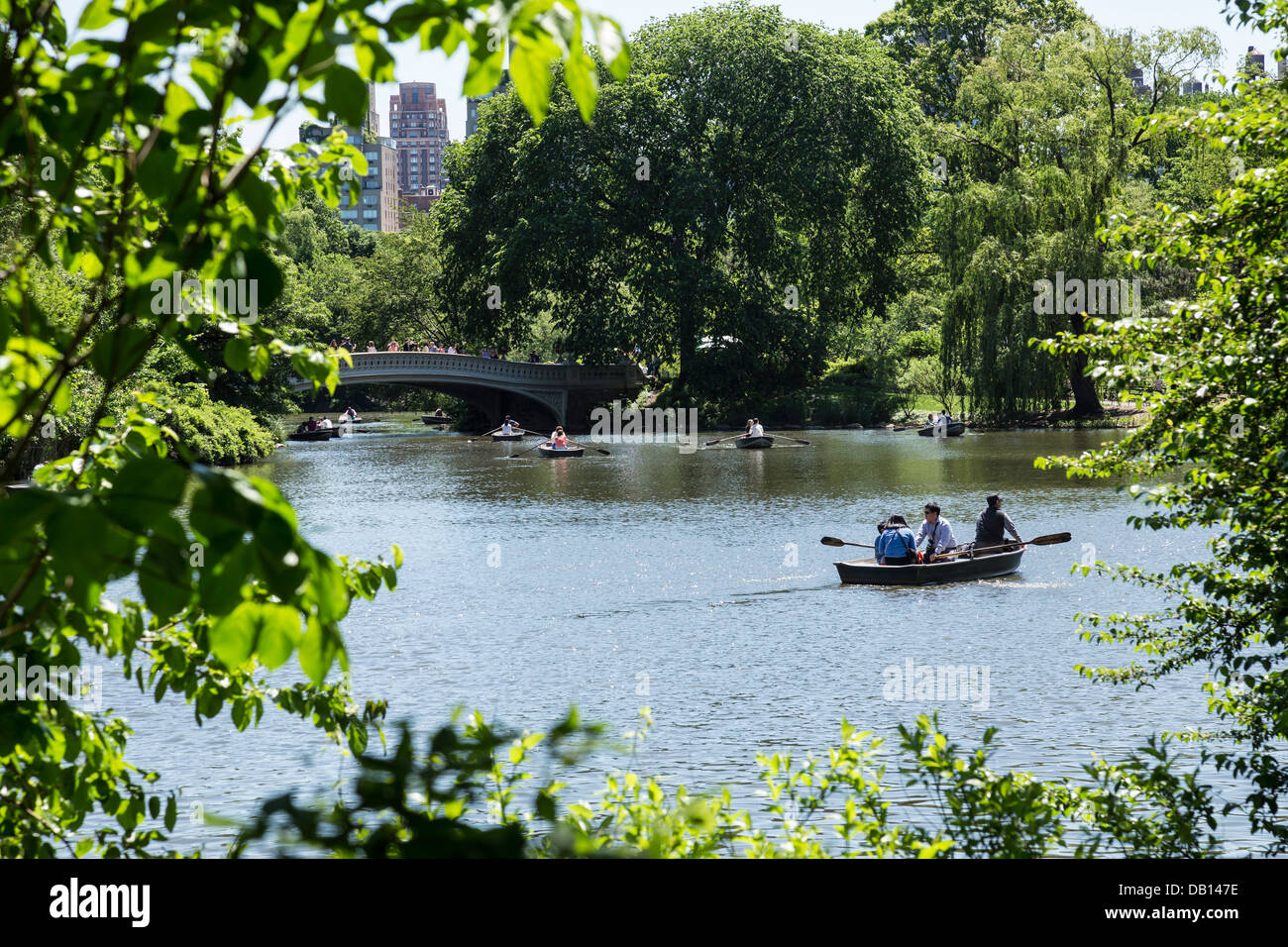 Rowboats on [The Lake] in Central Park, NYC Stock Photo - Alamy