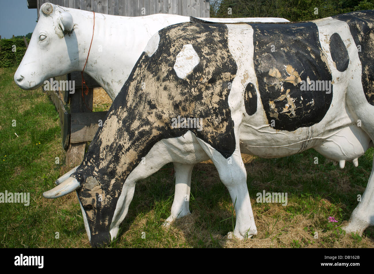 Artificial cows promoting a farm shop Stock Photo - Alamy