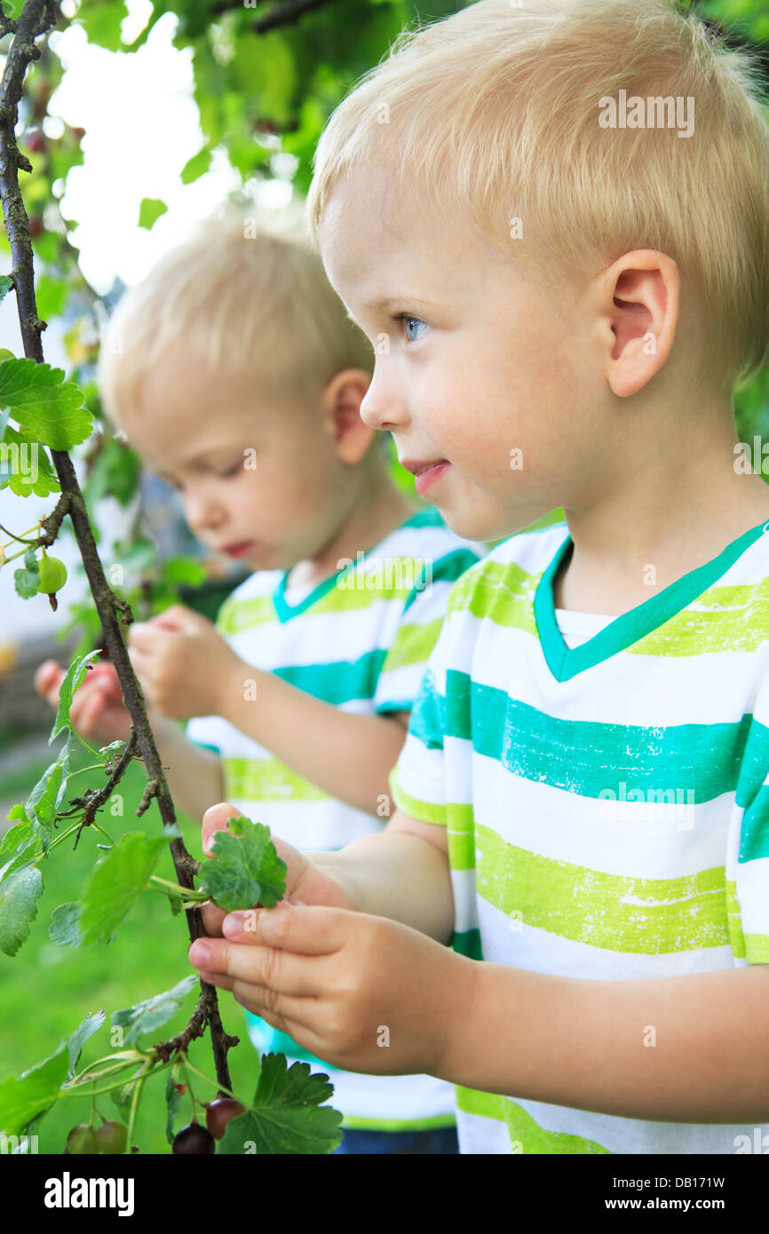 Kid eating berries hi-res stock photography and images - Alamy