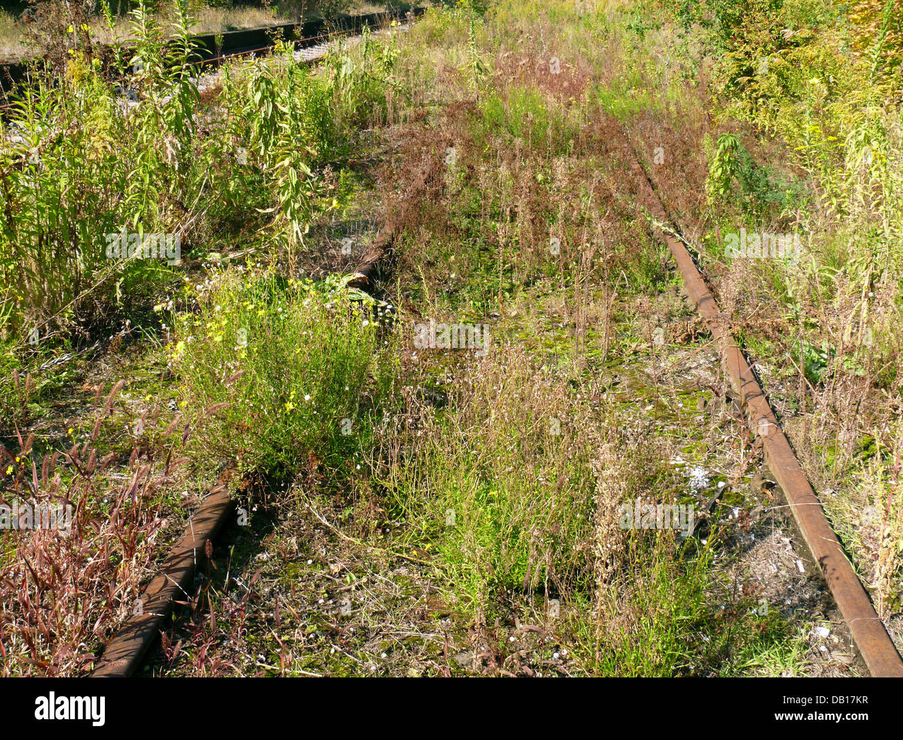 Dead end 2007 hi-res stock photography and images - Alamy