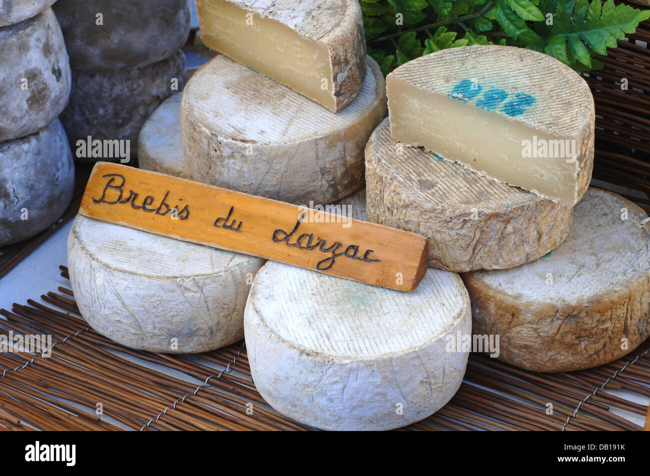 Different types of French cheese are on display at a local Provence ...