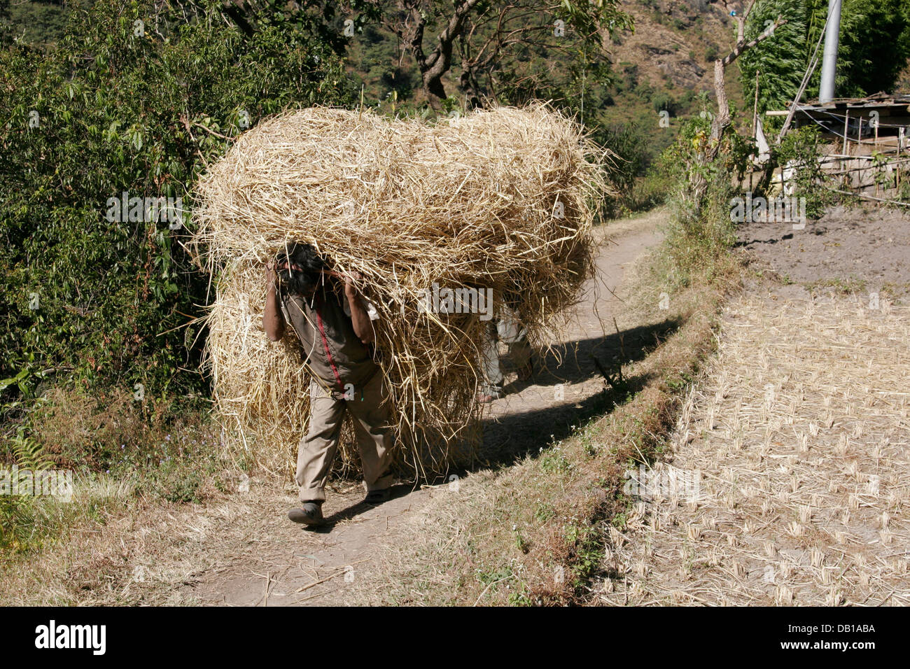 Man carrying heavy load on back hi-res stock photography and images - Alamy