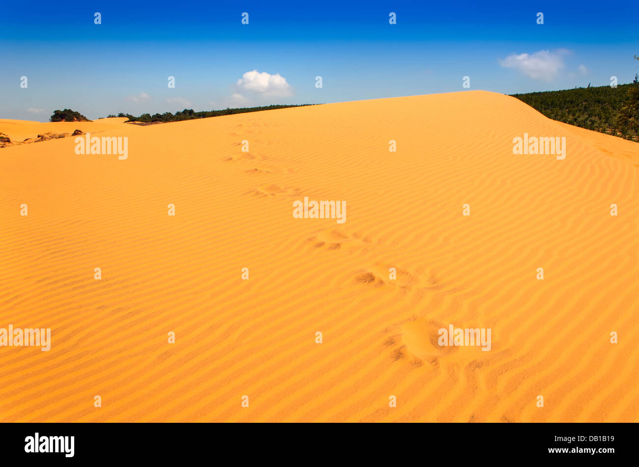 Red Sand Dunes near Mui Ne, Vietnam Stock Photo - Alamy