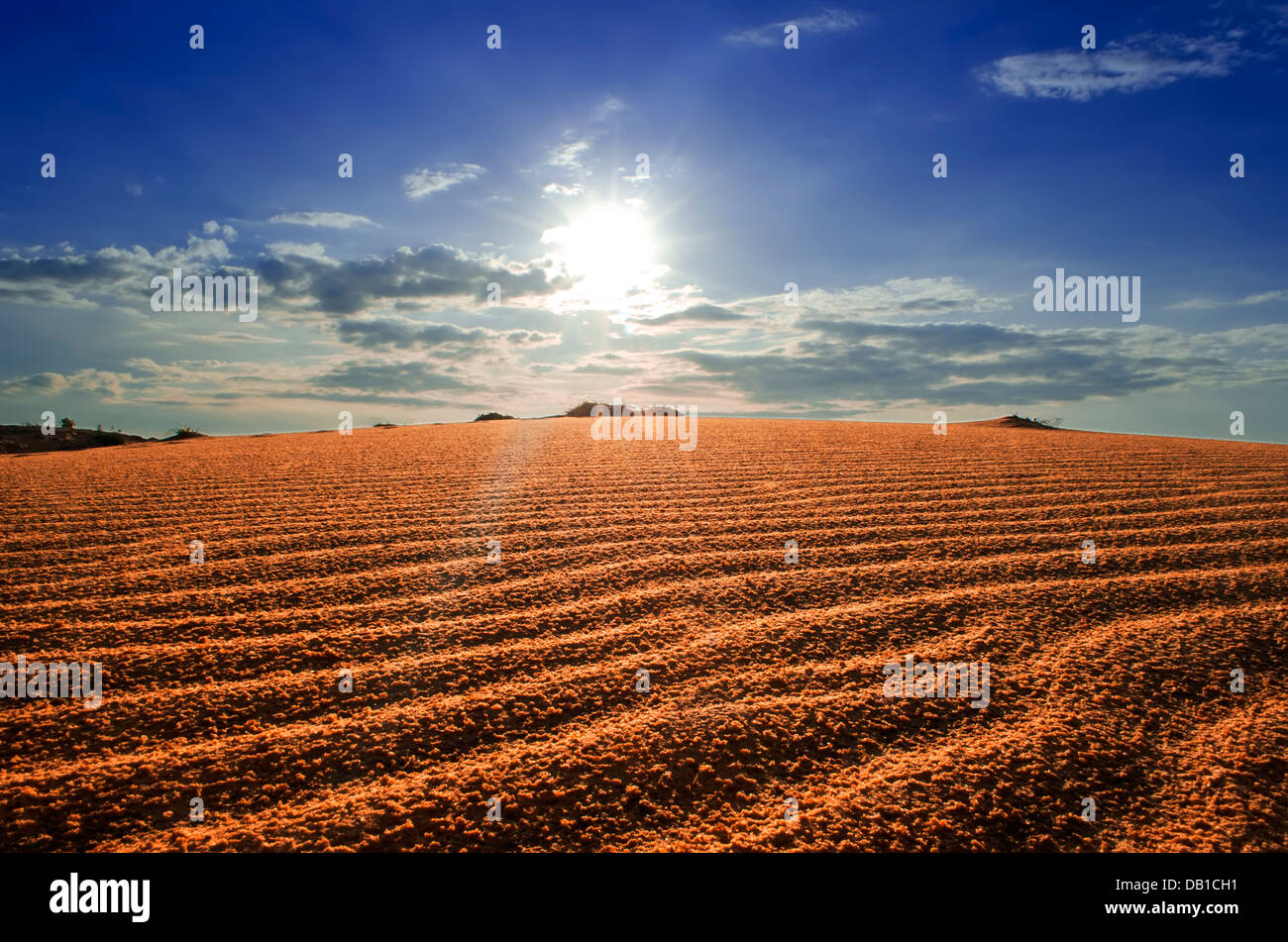 Southeastern vietnam hi-res stock photography and images - Alamy