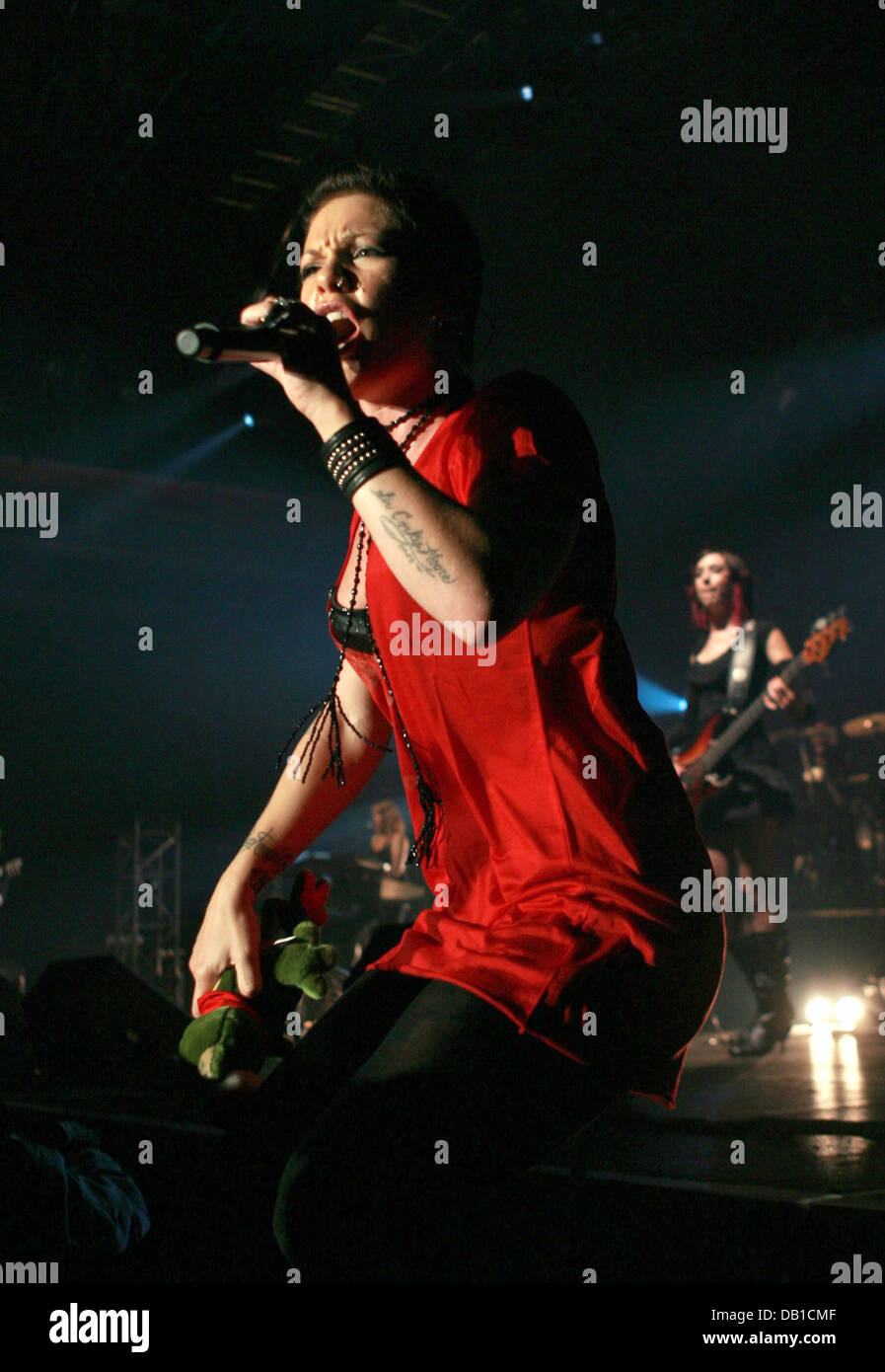 American singer Pink is pictured during a performance at the Zenith in ...