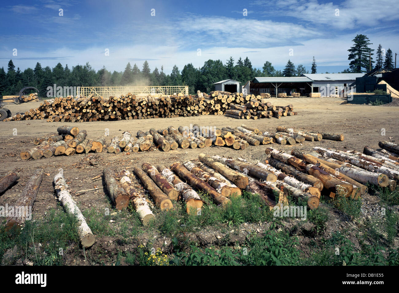 Timbermill hi-res stock photography and images - Alamy