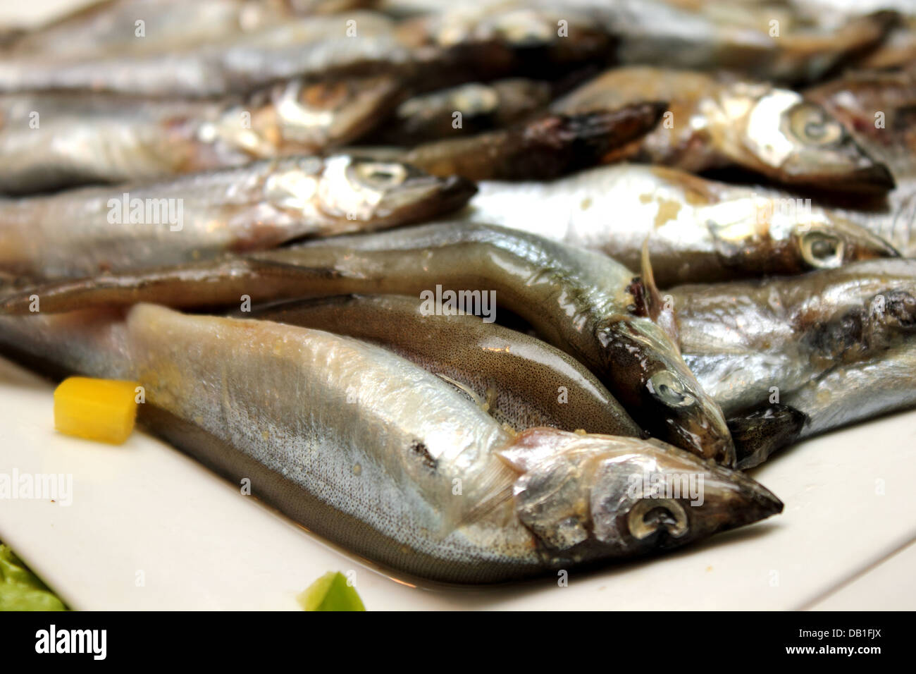 Many small fish hi-res stock photography and images - Alamy