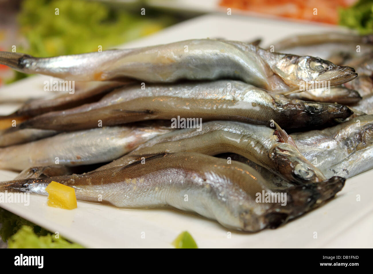 Many uncooked trunk small fish on white plate Stock Photo - Alamy