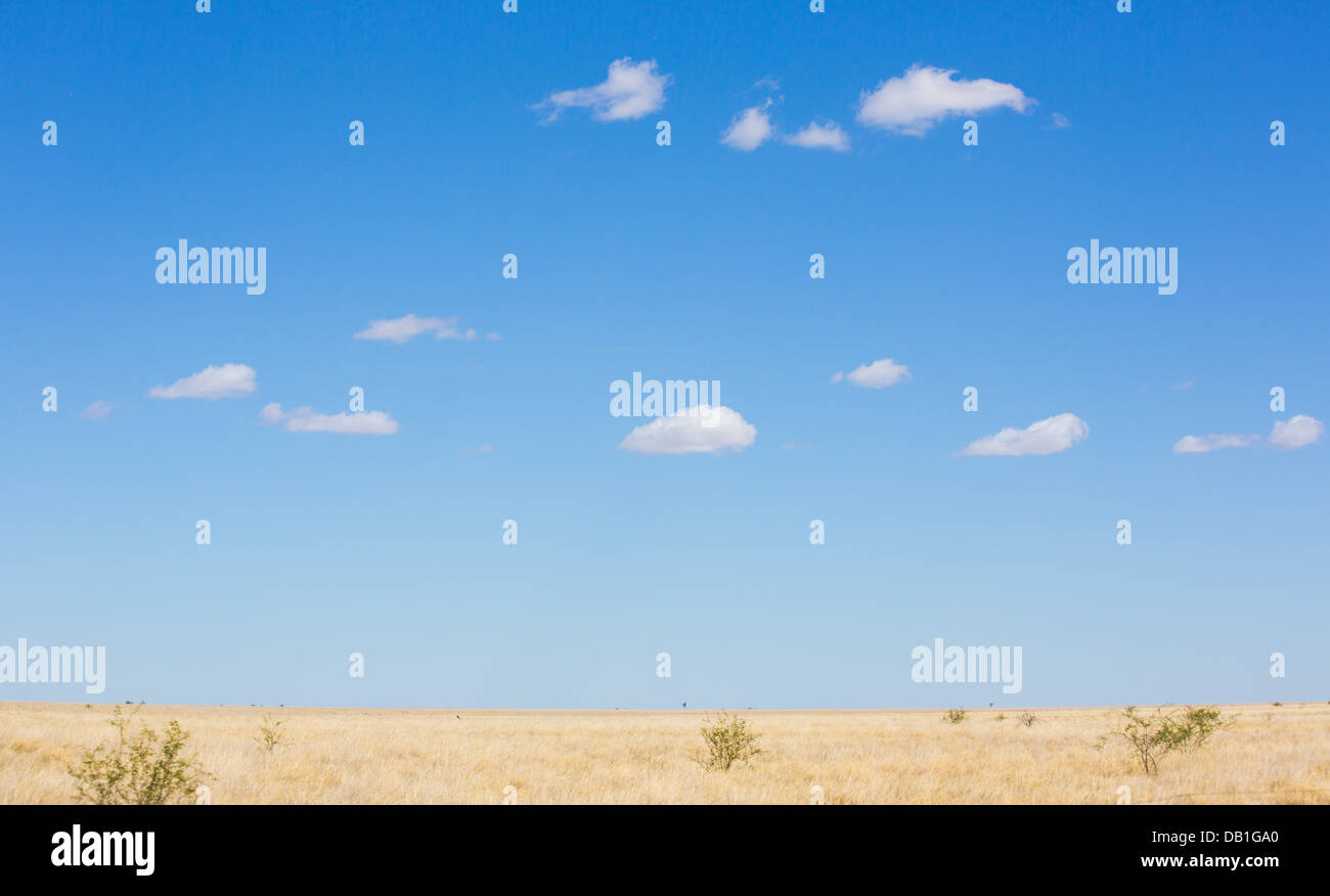 Parched land drought australia hi-res stock photography and images - Alamy