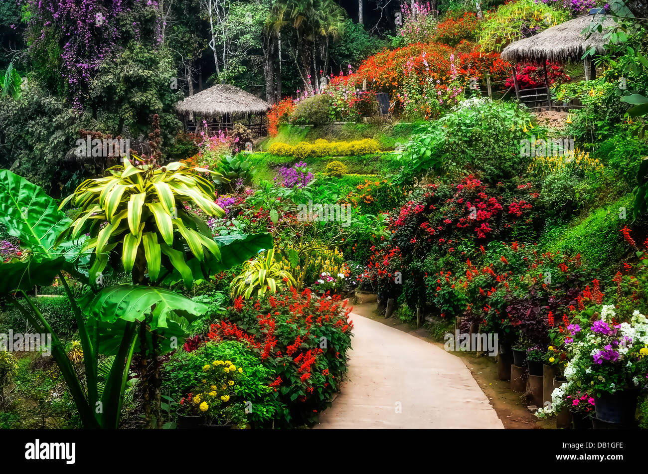 Landscaped colorful and peaceful flower garden in blossom Stock Photo ...