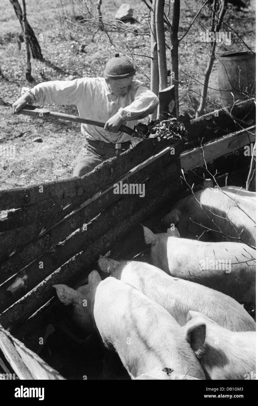 Farming 1950s Stock Photos & Farming 1950s Stock Images - Alamy
