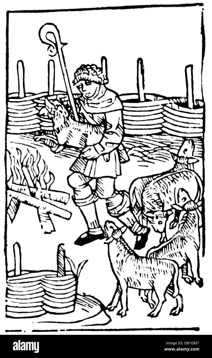 Sheep farming medieval Black and White Stock Photos & Images - Alamy