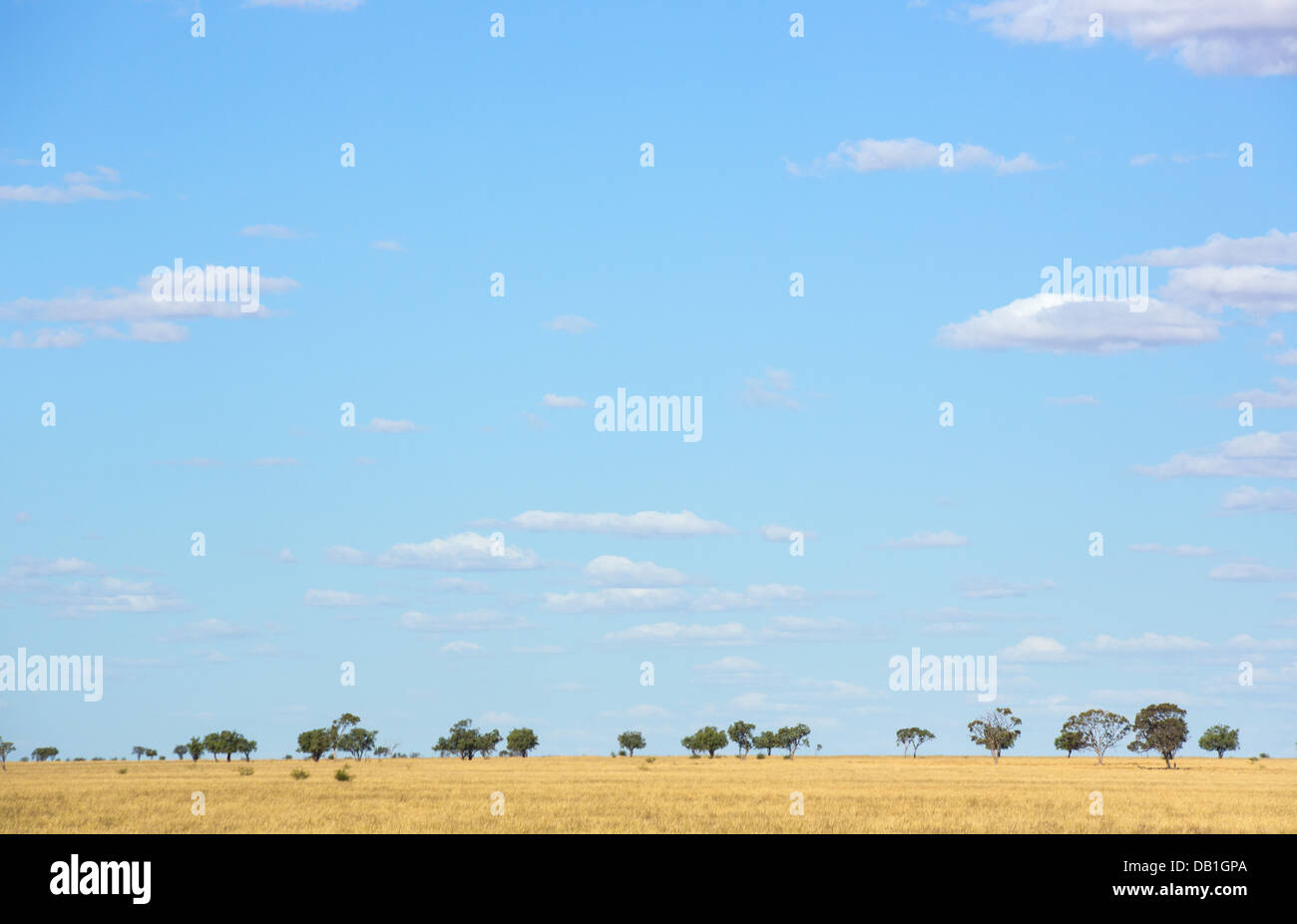 Australian outback landscape blue sky hi-res stock photography and ...