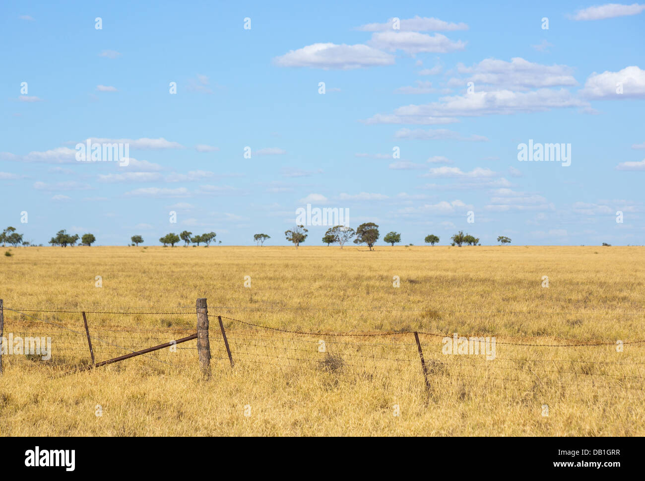 Dry grasslands and a blue sky with clouds in a remote part of outback ...