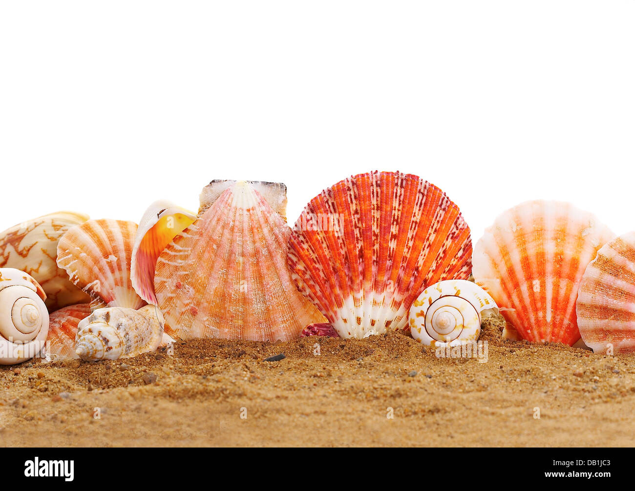 Brown peep hi-res stock photography and images - Alamy