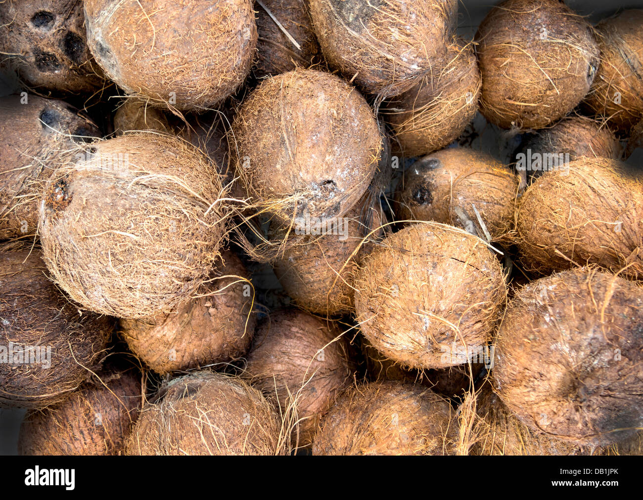 Coconuts for sale on a farmers market, bunch of Stock Photo - Alamy