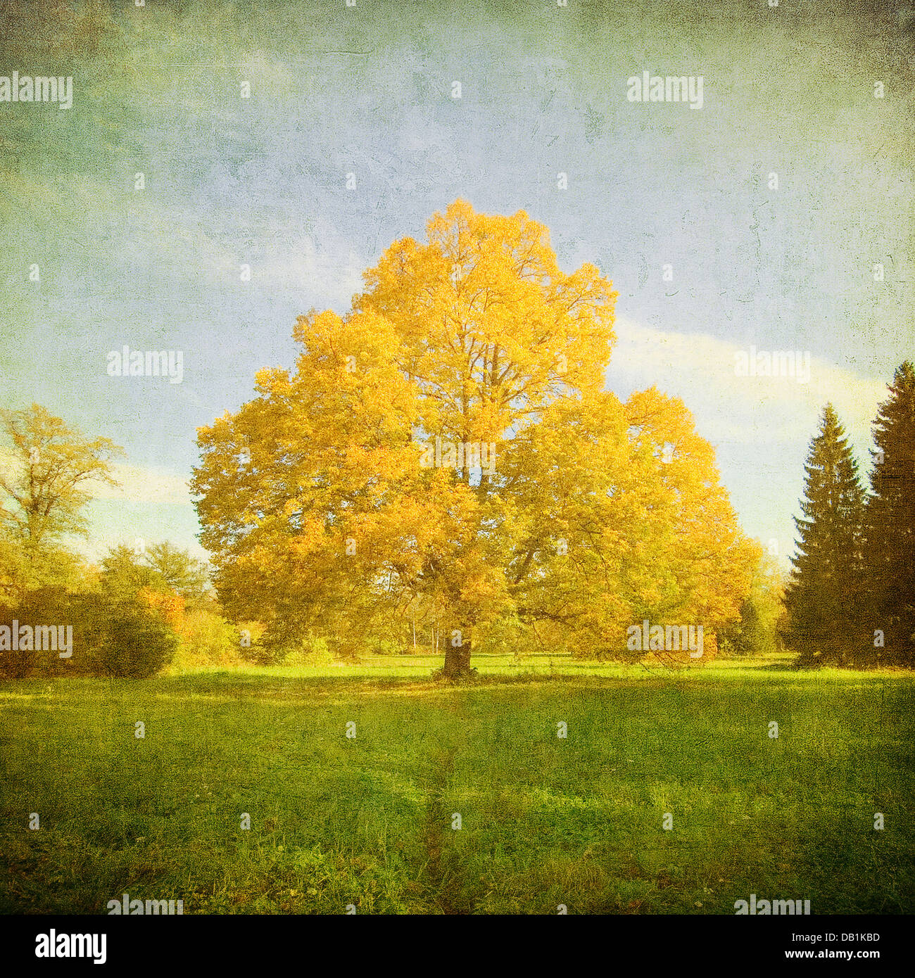grunge image of a tree over vintage background Stock Photo - Alamy