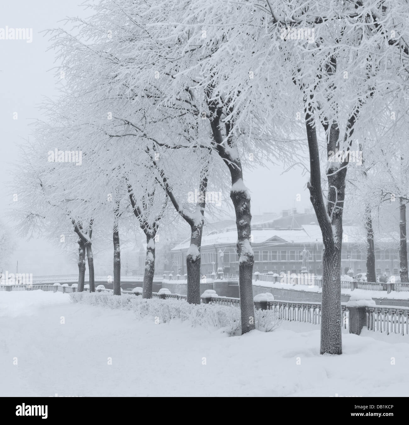 Beautiful winter landscape tree hi-res stock photography and images - Alamy