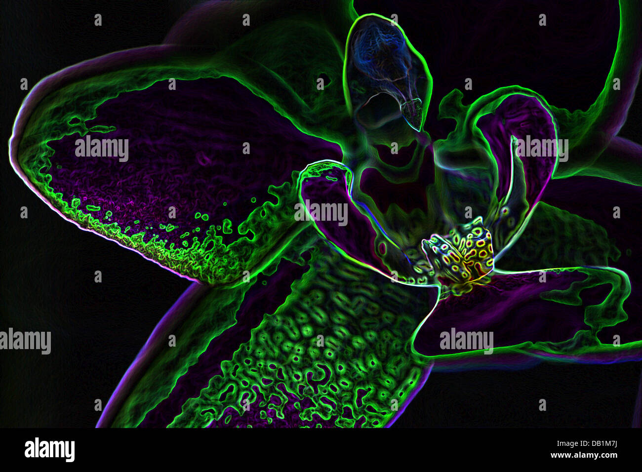 Artistic flourishing hi-res stock photography and images - Alamy