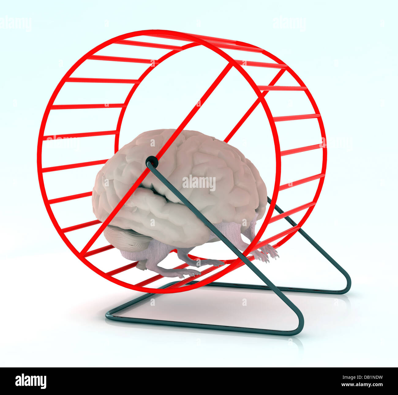 Human hamster wheel hi-res stock photography and images - Alamy