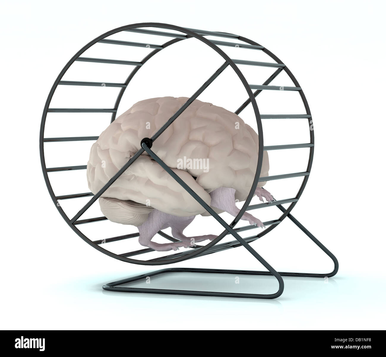 Hamster Wheel Brain