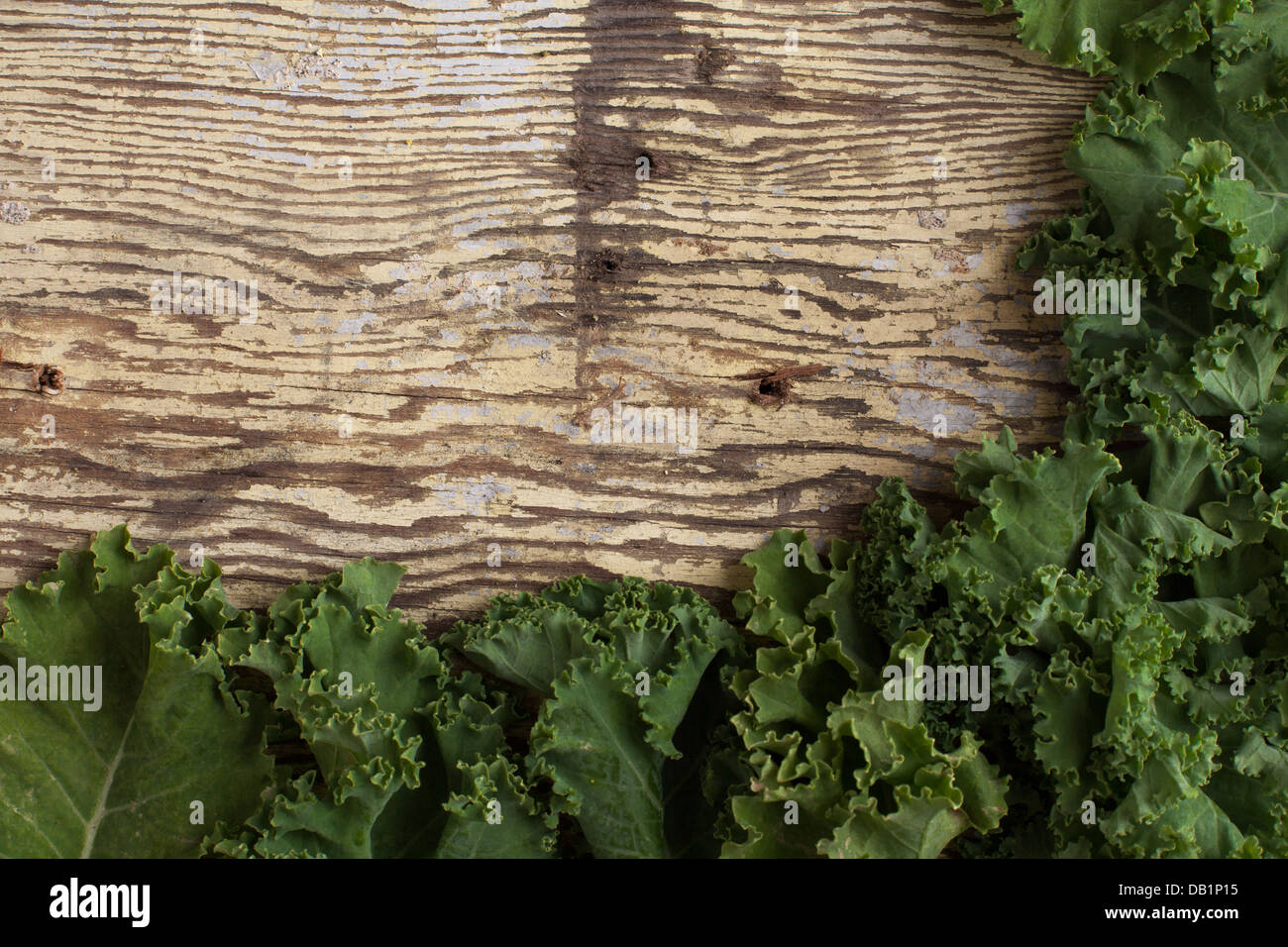 kale leafs along the bottom and right image border on weathered wood ...