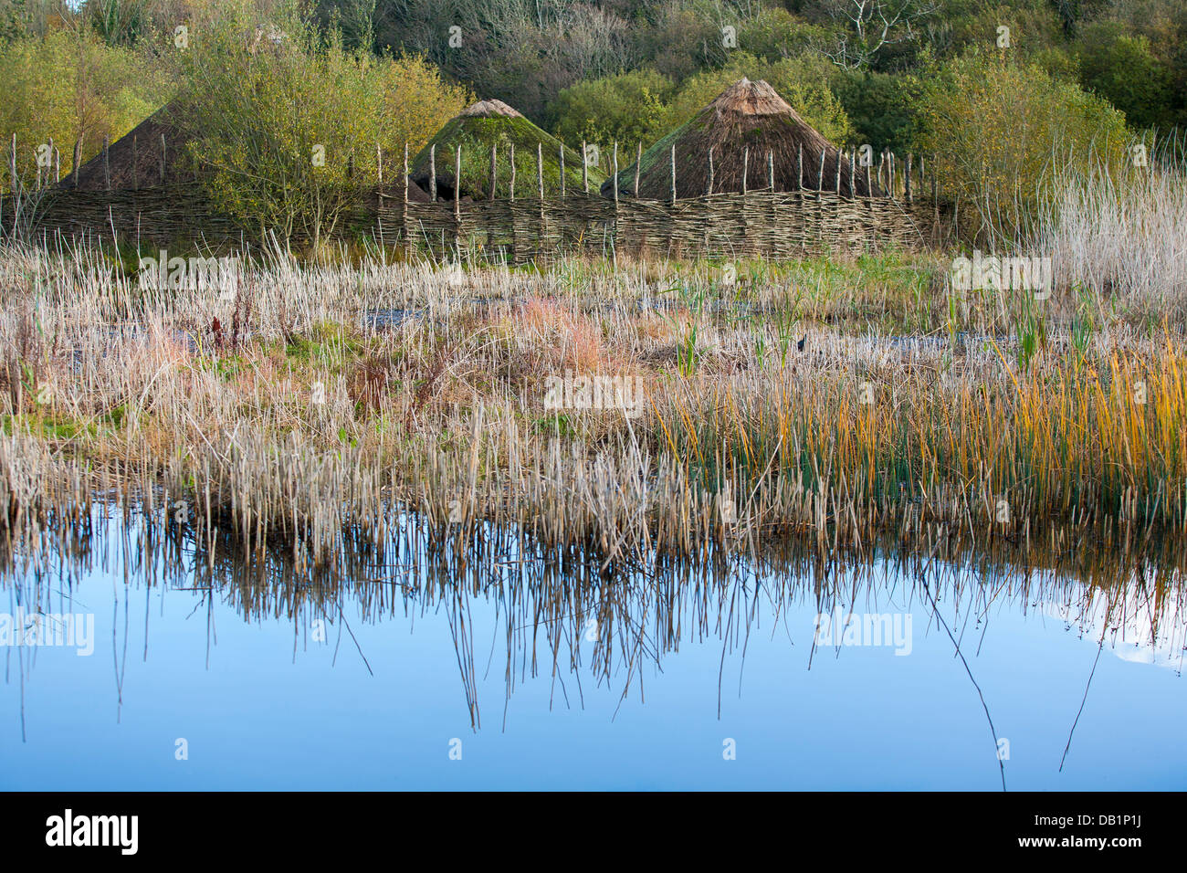 A crannog or island dwelling reconstructed for tourism at the The Irish ...