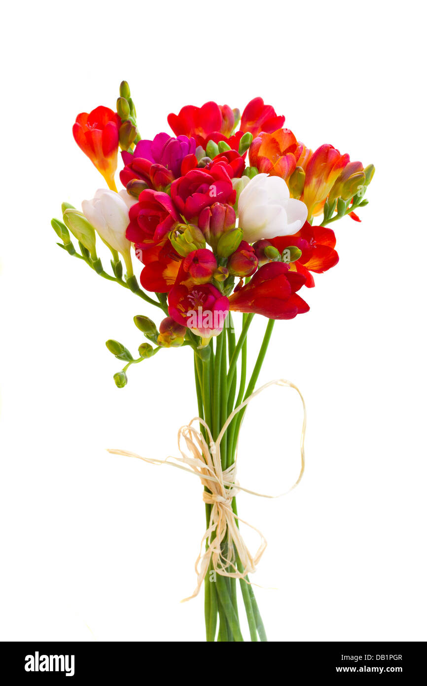 posy of red freesia flowers Stock Photo - Alamy