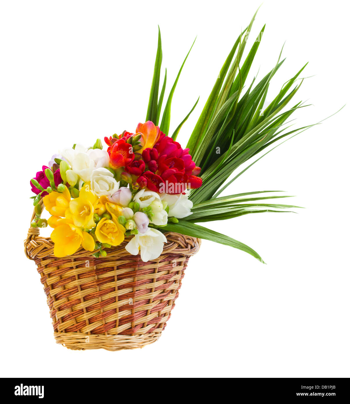 bouquet of freesias flowers in basket Stock Photo - Alamy