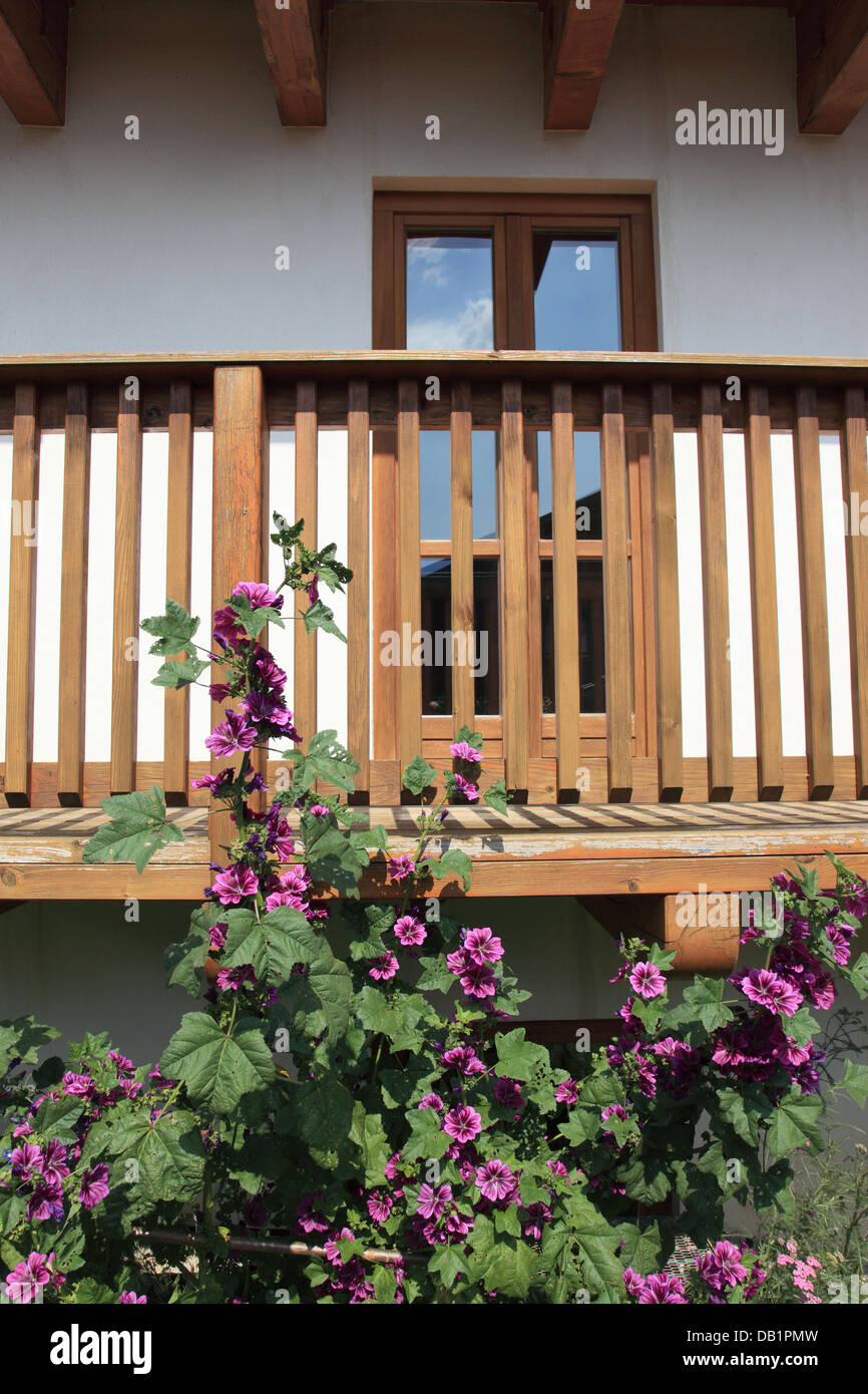 flowers in garden and balcony at a Bavarian farm house. Photo by Willy ...