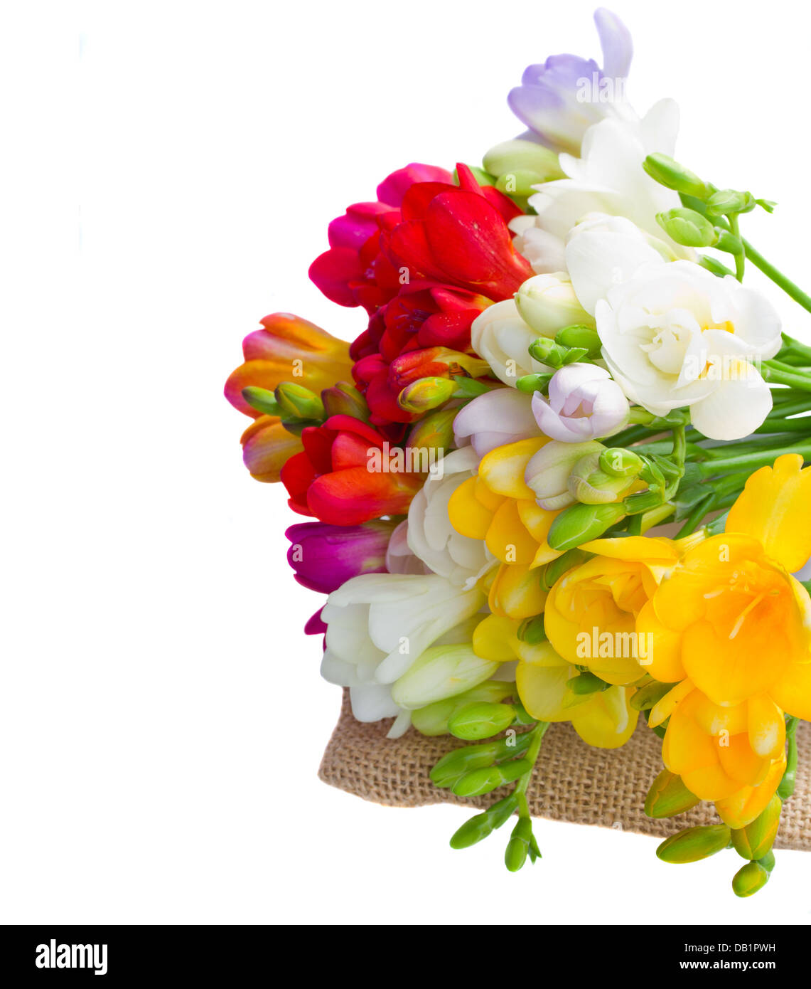 posy of freesias flowers Stock Photo - Alamy