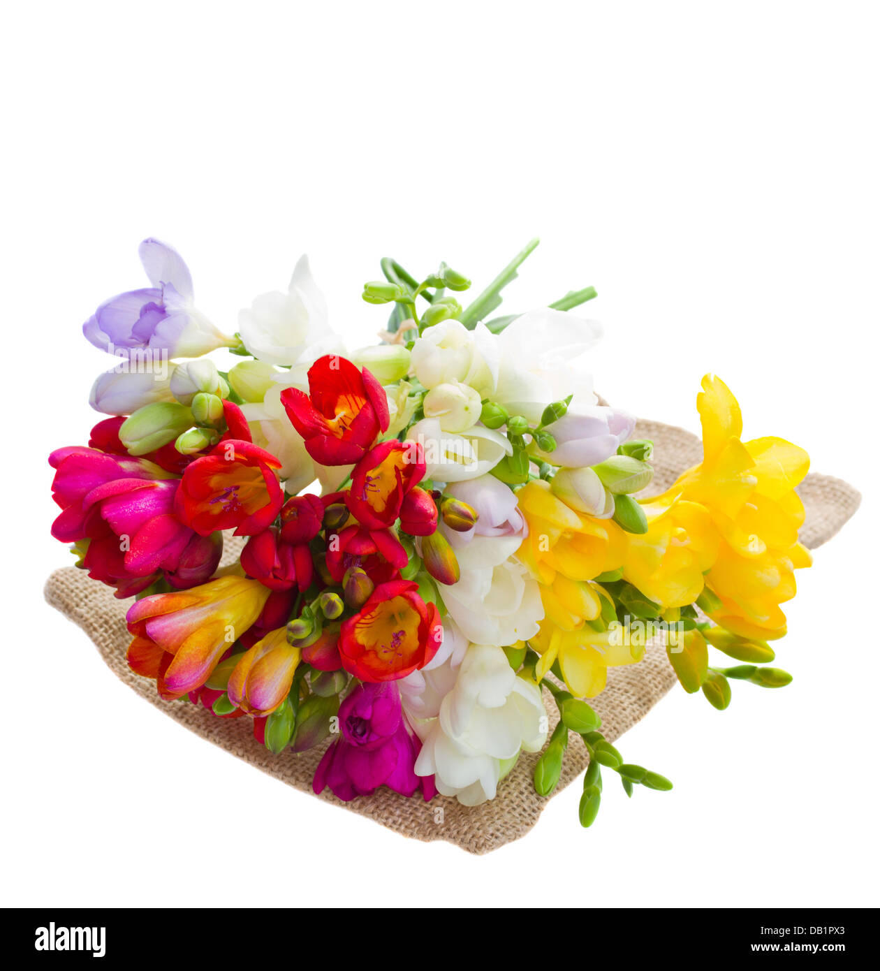 Freesia blooms Cut Out Stock Images & Pictures - Alamy