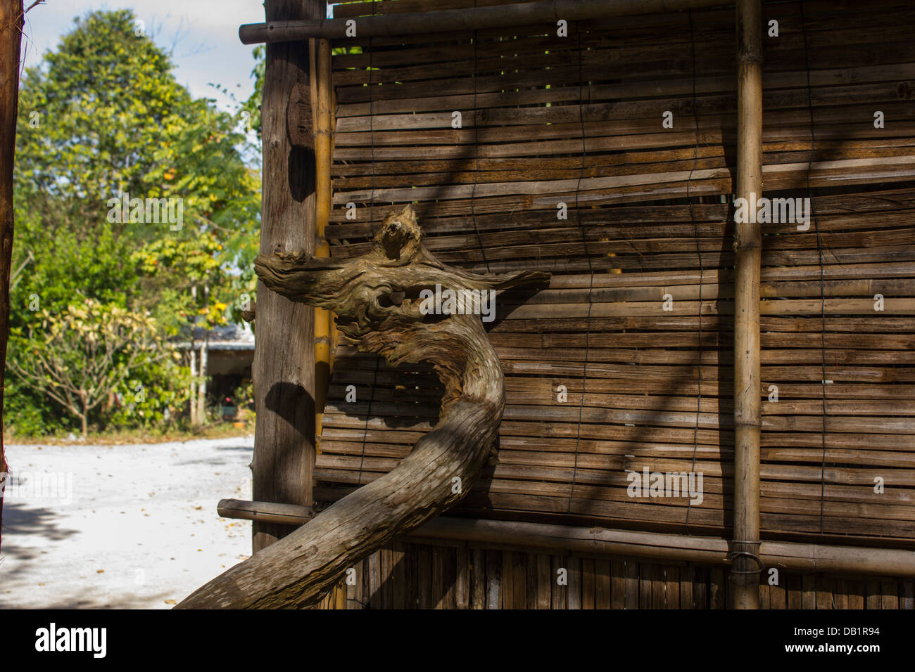 Still life naturally formed tree branch Stock Photo - Alamy