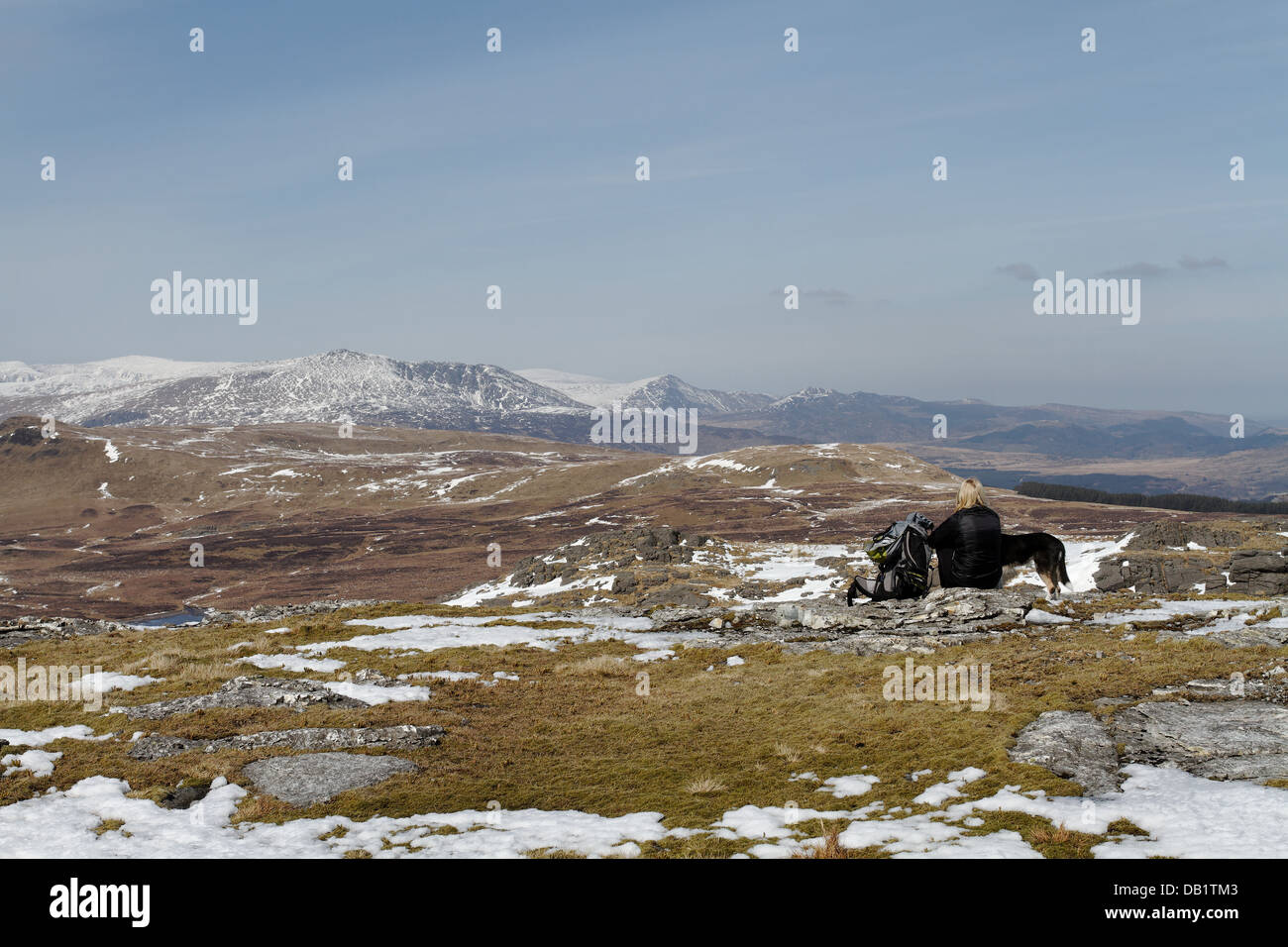 View towards the Glyders and Carneddau from the North Top of Manod Mawr ...